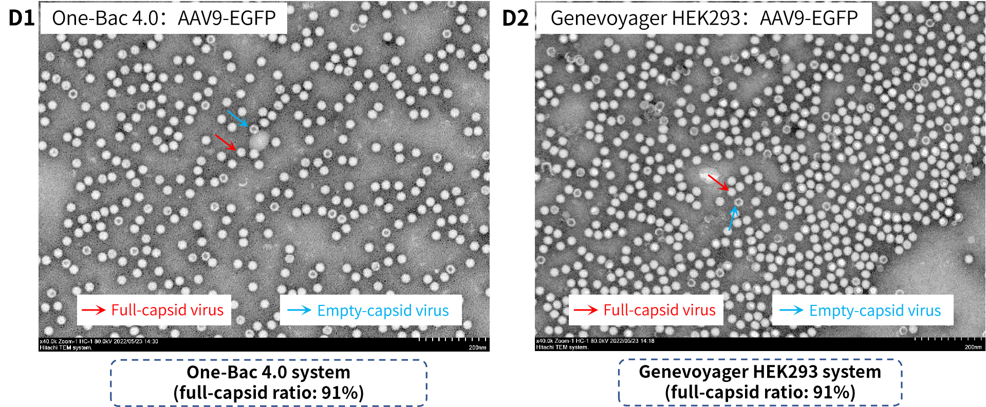 One-Bac 4.0 System--Technology Platform